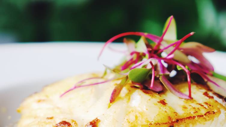 Saba Italian Kitchen + Bar - Chicago | Chicago, Illinois, United States ...