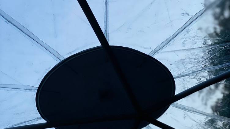 Sushi Hashiri | San Francisco, Nayarit, Mexico - Venue Report