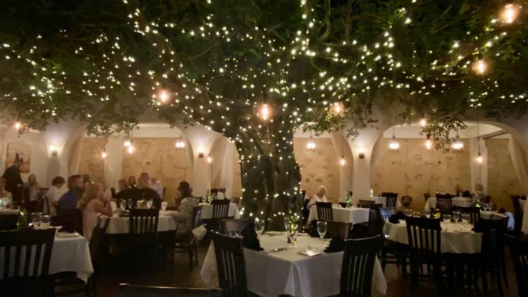 Firefly - Panama City Beach | United States - Venue Report