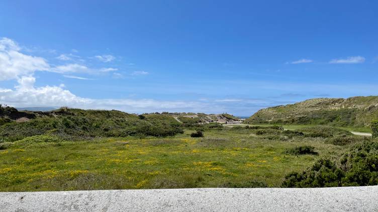 The Rockpool - Beach Cafe Gwithian | - Venue Report