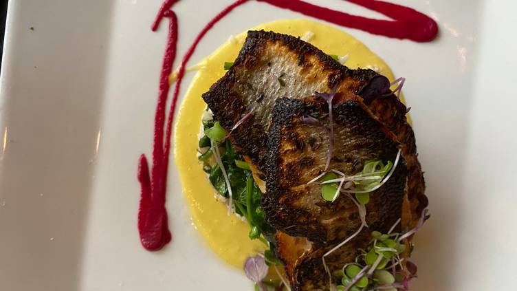 Vela Kitchen | United States | Venue Report