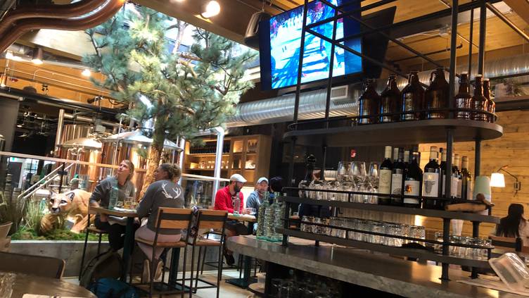 Three Bears Brewery | Canada - Venue Report