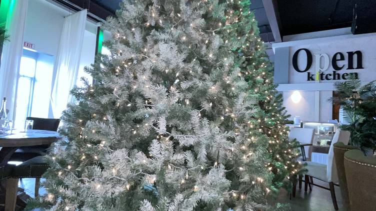 Open Kitchen Barbados | - Venue Report