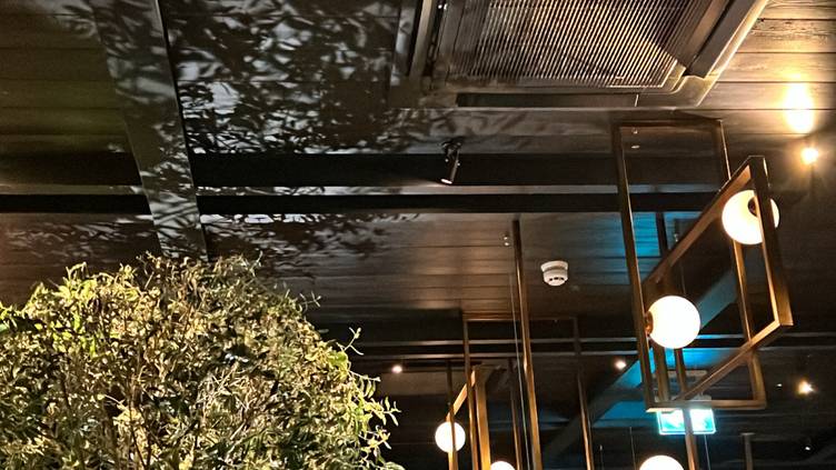 Ryleigh's | Dublin, Dublin, Ireland - Venue Report