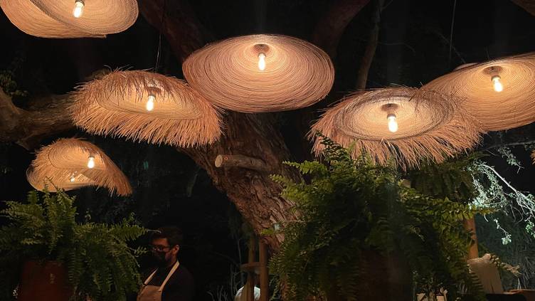 Semillon | San José del Cabo, Baja California, Mexico - Venue Report