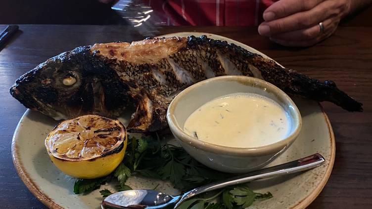 Moeca | Cambridge, Vermont, United States - Venue Report