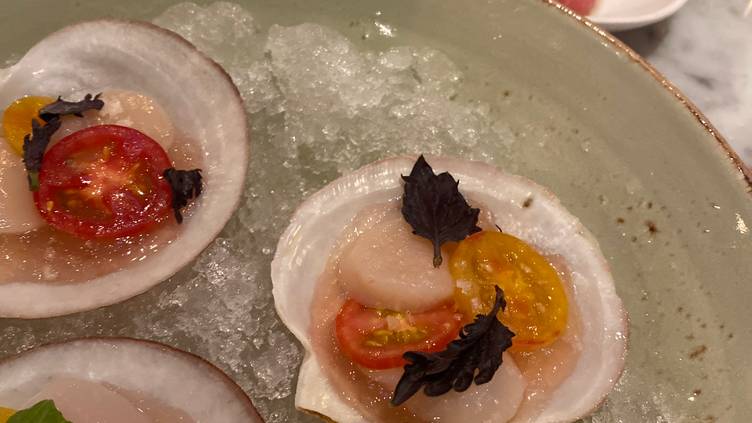 Moeca | Cambridge, Vermont, United States - Venue Report