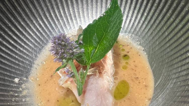 The Omakase Room at Sushi-san | Chicago, Illinois, United States ...