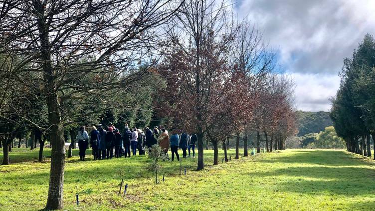 Black Cat Truffle By Liam Downes | Australia - Venue Report