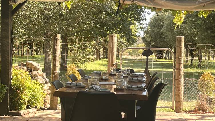 Black Cat Truffle By Liam Downes | Australia - Venue Report
