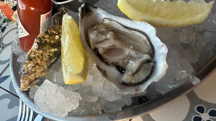 Origin Palmanova | Spain - Venue Report