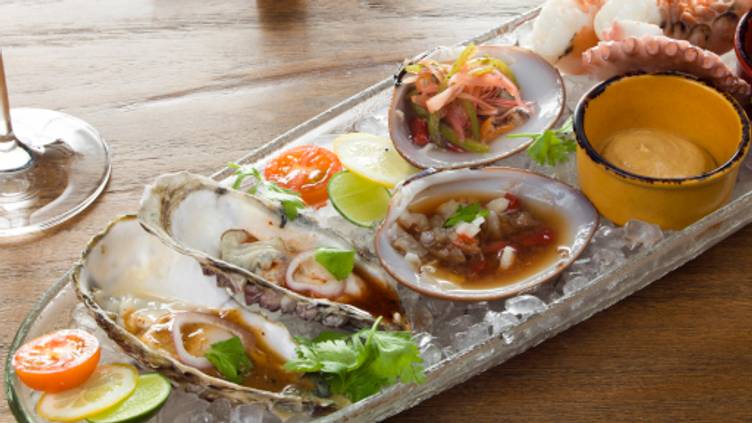 TORO CABO | Cabo San Lucas, Baja California, Mexico - Venue Report