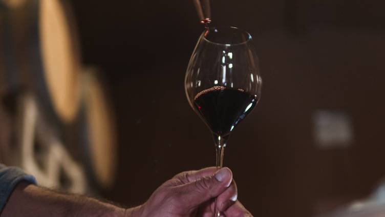 Cava Maciel Vinícola | Ensenada, BC, Mexico - Venue Report