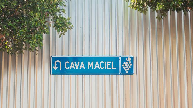 Cava Maciel Vinícola | Ensenada, BC, Mexico - Venue Report