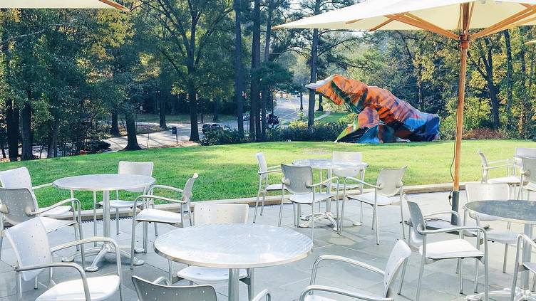 Nasher Cafe at Duke University | Durham, North Carolina, United States ...