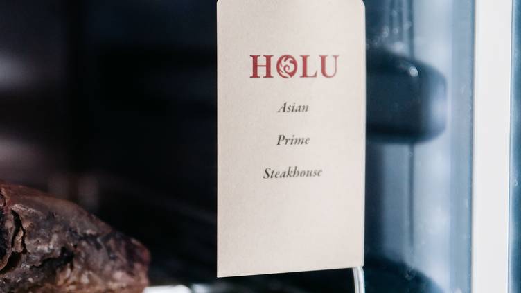 Holu - Chicago | Chicago, Illinois, United States - Venue Report