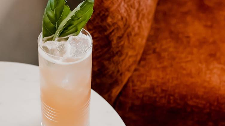 M Brothers at Mayo | Florida, United States - Venue Report