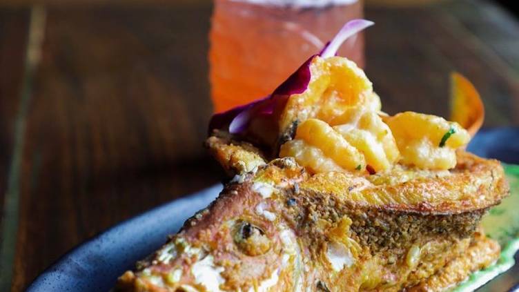 Viva Toro | New York, New York, United States, Brooklyn - Venue Report