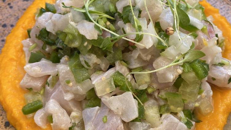 Cava Maciel Vinícola | Ensenada, BC, Mexico - Venue Report