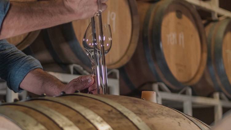 Cava Maciel Vinícola | Ensenada, BC, Mexico - Venue Report