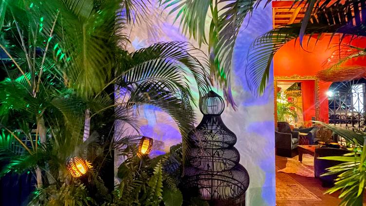 Palapa Grill | - Venue Report