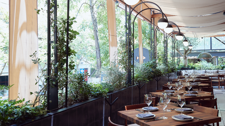 Pamplo del Mediterraneo | Jalisco, Mexico - Venue Report