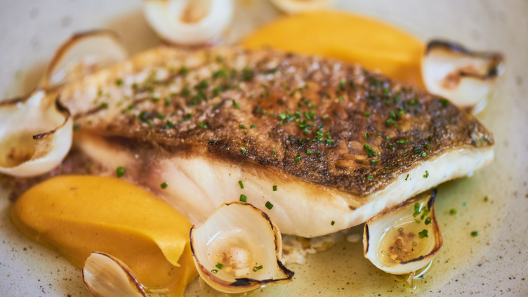 Pamplo del Mediterraneo | Jalisco, Mexico - Venue Report