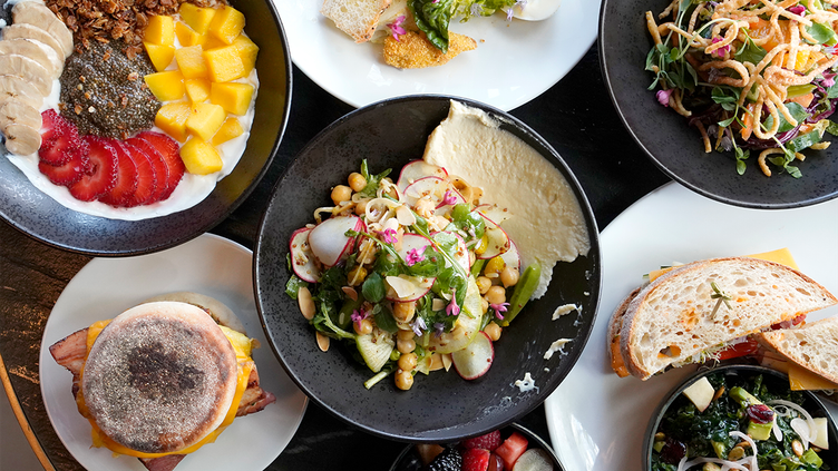 Eden | Chicago, Illinois, United States - Venue Report