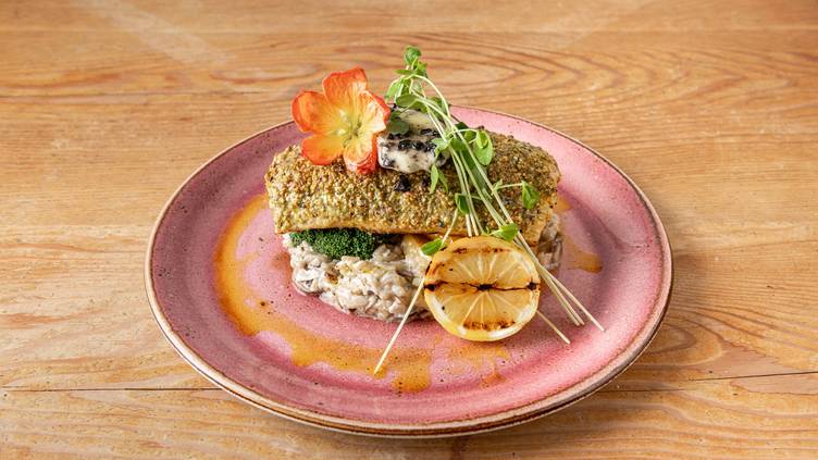 Big Fish & Open Range - Renfrew | Calgary, Alberta, Canada - Venue Report