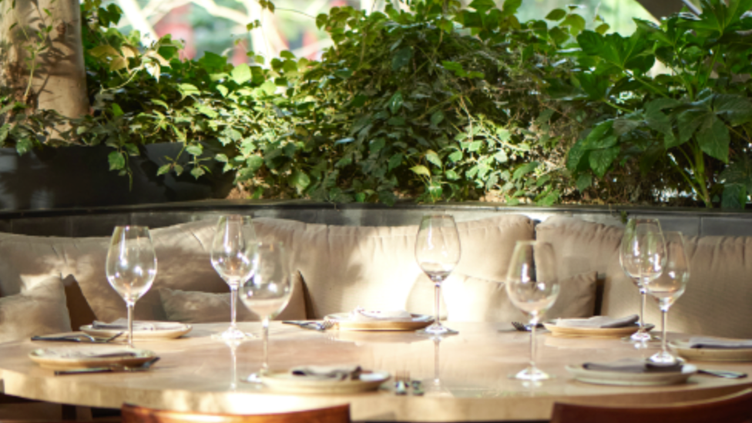 Pamplo del Mediterraneo | Jalisco, Mexico - Venue Report