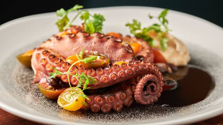 Jumiles Experiencia Mexicana | Yucatan, Mexico - Venue Report