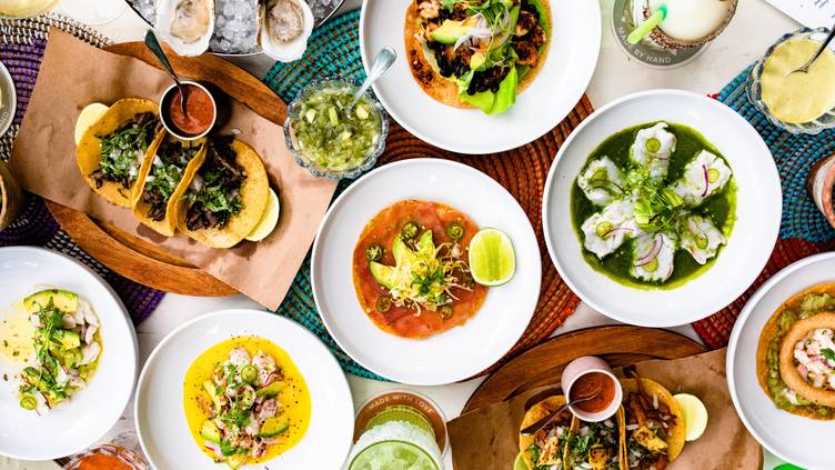 Flora | Houston, Texas, United States - Venue Report