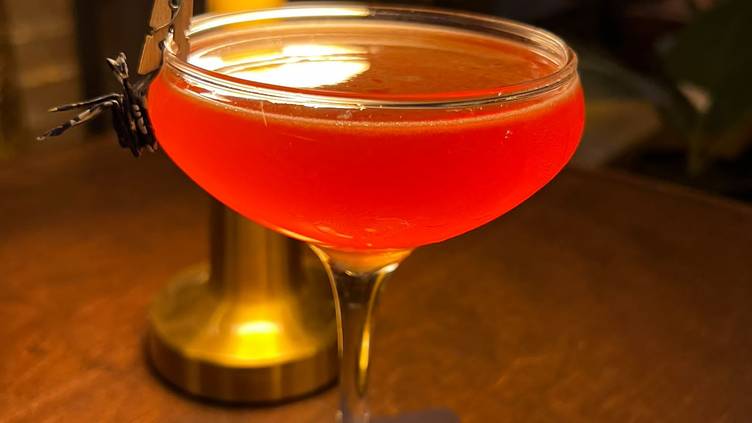 Truth Lounge Restaurant | New York, United States, Queens - Venue Report