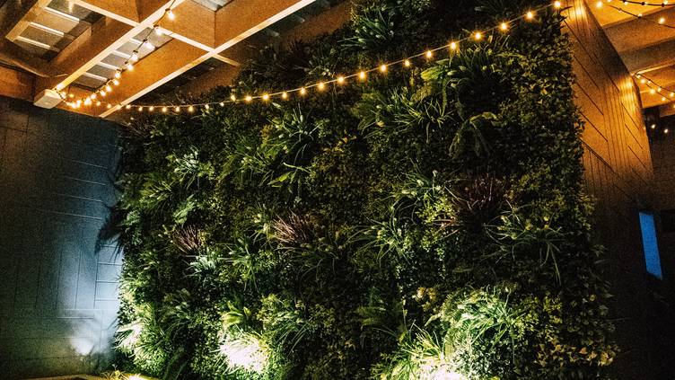 Oydis Bar | Australia - Venue Report