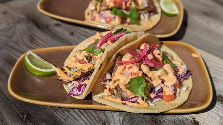 shane on colby | Australia - Venue Report