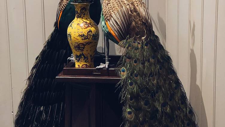 Compass Rose Chinese Restaurant & Bar | Venue Report