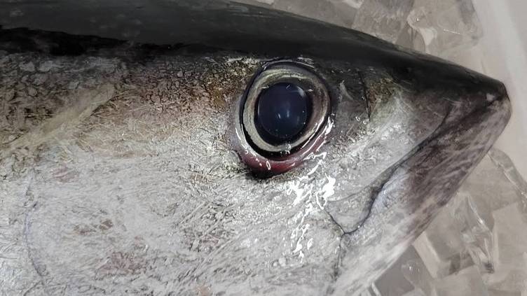 The Sunset Club | San Juan, San Juan, Puerto Rico | Venue Report