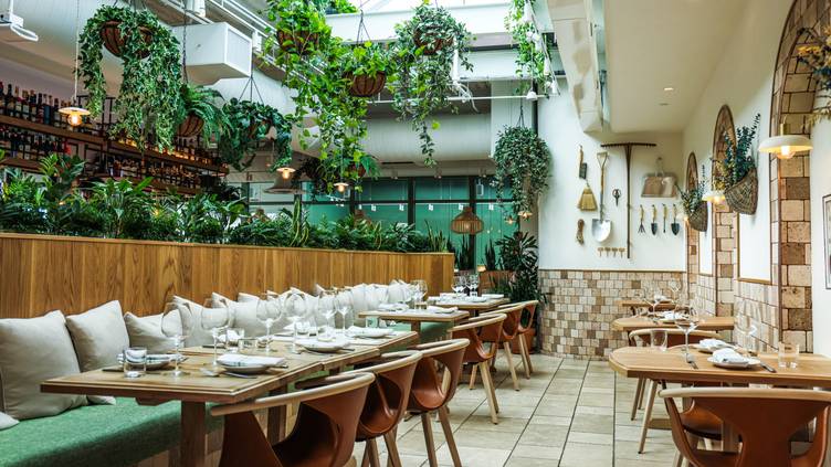 Terra - Eataly Dallas in Dallas, TX - Trip Canvas