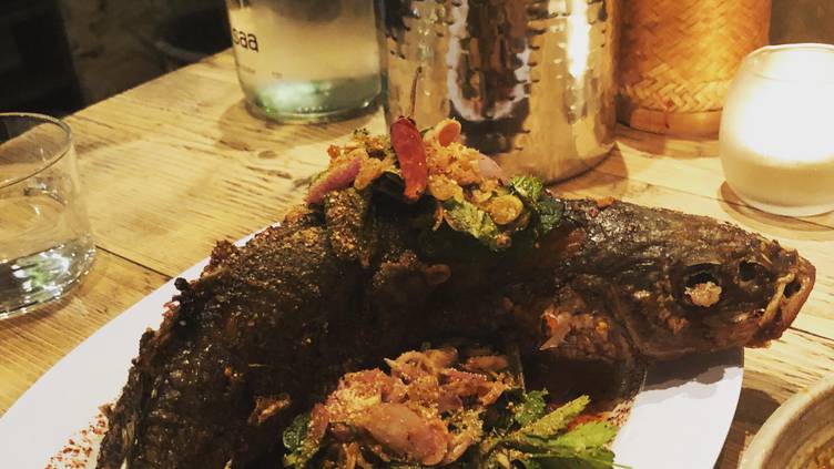 som saa | London, England, United Kingdom - Venue Report