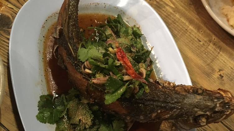 som saa | London, England, United Kingdom - Venue Report