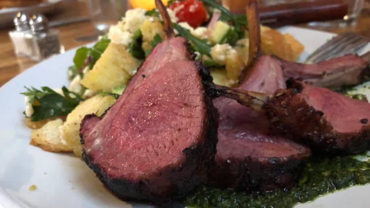 Stone Turtle | St. Louis, Missouri, United States - Venue Report