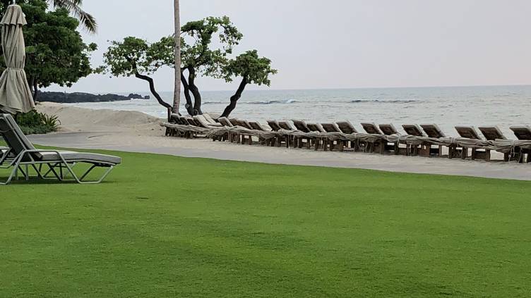 Beach Tree Restaurant, Bar and Lounge | United States - Venue Report