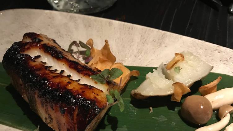 Bar Copa | Toronto, Ontario, Canada - Venue Report