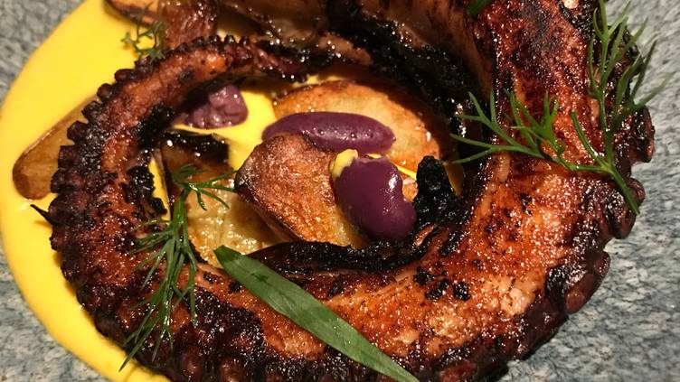 Bar Copa | Toronto, Ontario, Canada - Venue Report