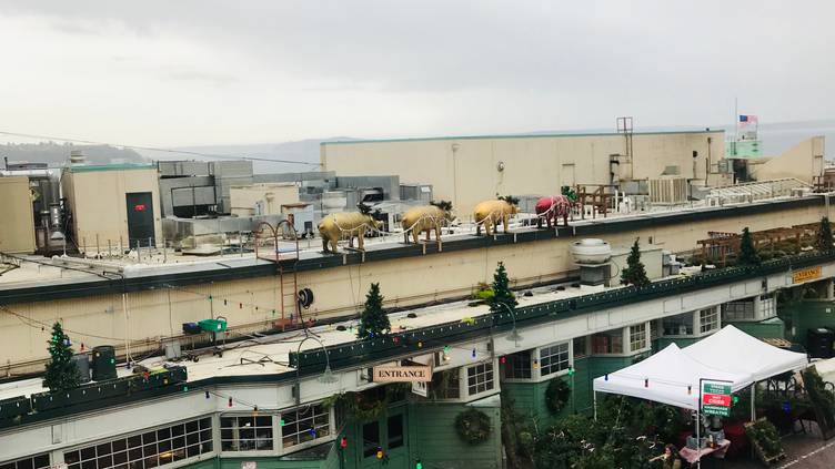 Matt's in the Market | Washington, Washington, United States - Venue Report