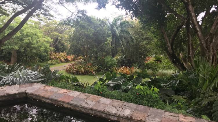 The Rocks | Saint Kitts and Nevis - Venue Report