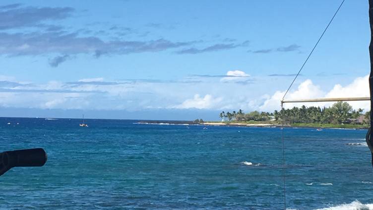 Island Lava Java Bistro | Hawaii, United States - Venue Report