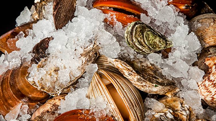 La Docena - Andares | Mexico - Venue Report