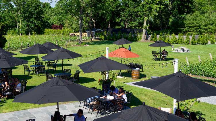 Del Vino Vineyards | Michigan, United States - Venue Report