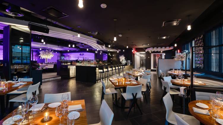 STK - Steakhouse and Rooftop in Scottsdale, AZ - Trip Canvas
